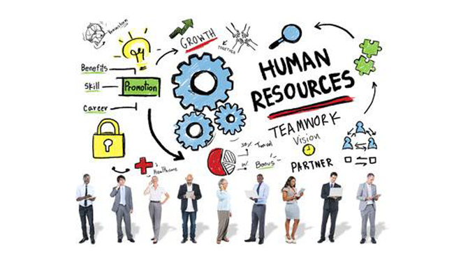 Fonction RH : la digitalisation, sinon rien Fonction RH : la digitalisation, sinon rien